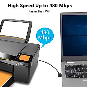 CERRXIAN 90 Degree USB A to B Cable Printer Cable, 1ft Left Angle USB 2.0 Type A Male to Right & Left Angle USB 2.0 Type B Male Scanner Cable(rl)