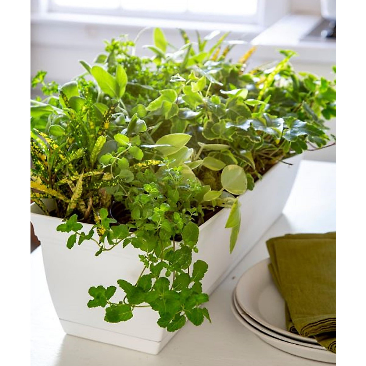 The HC Companies 24" Eclipse PlasticWindow Box 7.76"x24"x6.57" in White Color