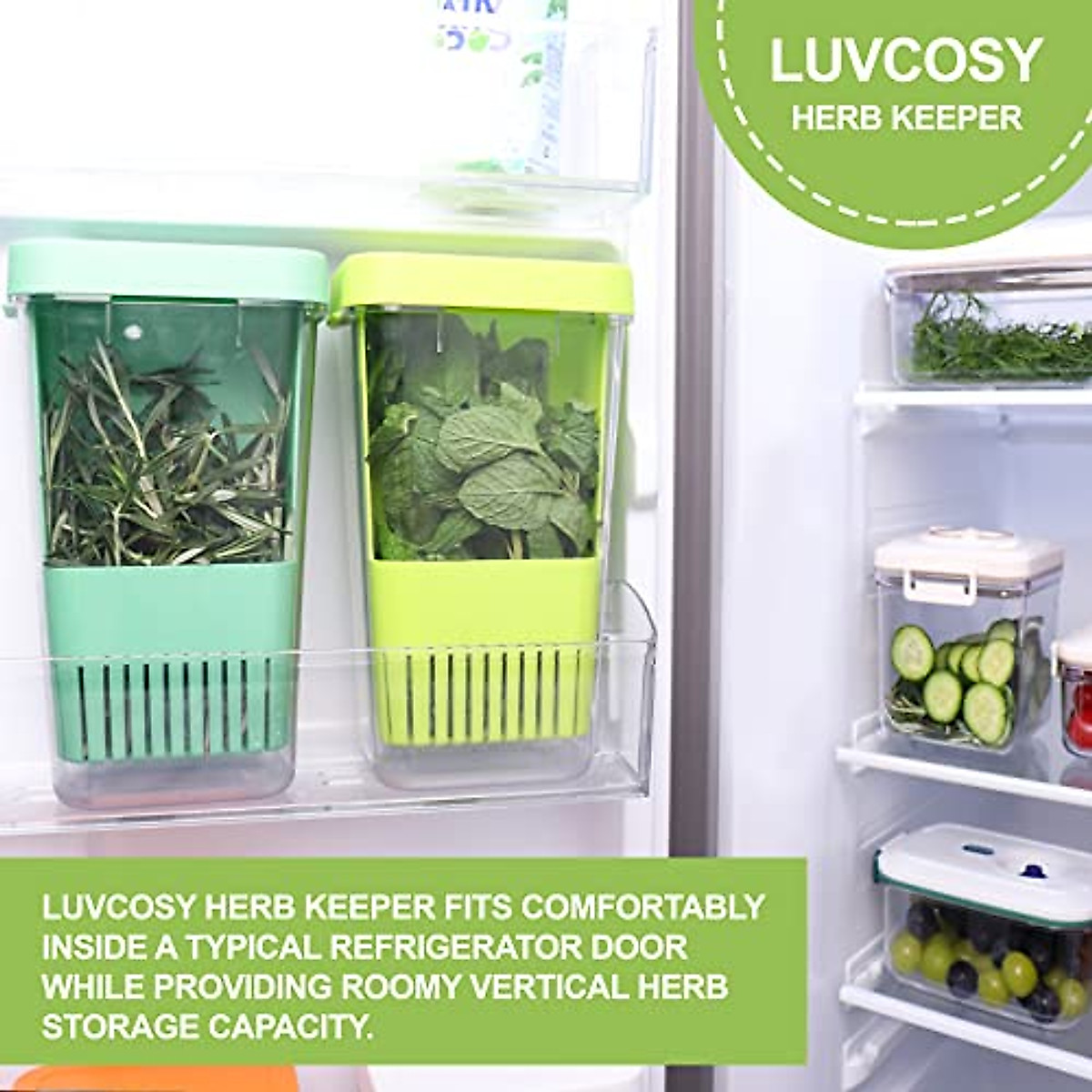 LUVCOSY 2 Packs Fresh Herb Keeper for Refrigerator, Clear BPA-Free Herb Saver, Storage Container for Cilantro, Parsley, Thyme, Mint & Asparagus, Preserver Keeps Fresh Herbs Cyan