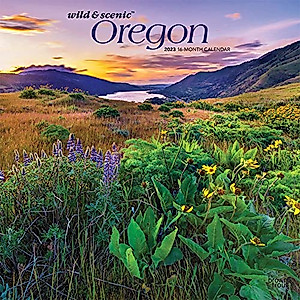 Oregon Wild & Scenic | 2023 12 x 24 Inch Monthly Square Wall Calendar | BrownTrout | USA United States of America Pacific West State Nature
