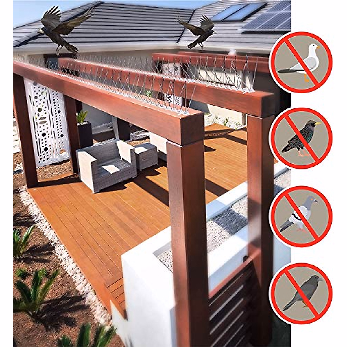 Aspectek Stainless Steel Pre-Assembled Bird Spikes 10 Feet (3 Meters), Bird Deterrent Kit with Transparent Silicone Glue