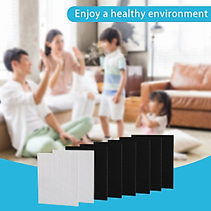 D480 Replacement Filter D4 Compatible with Winix D480 Air Purifier,Replace 1712-0100-00, 2 True HEPA + 6 Carbon Filters