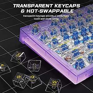 AULA Mechanical Gaming Keyboard, Wireless RGB Gaming Keyboard with Transparent keycaps, Support Hot Swappable and Programmable Macro Functionality, 2.4G & BT5.0 & USB-C, Blue Switch