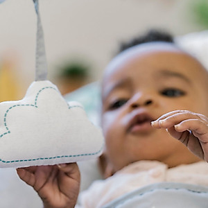 Ingenuity Ity Bouncity Bounce Vibrating Deluxe Baby Bouncer Seat, 0-6 Months Up to 20 lbs (Goji)