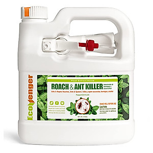 EcoVenger Roach & Ant Killer 1/2 Gal Trigger Sprayer, Kills on Contact, Kills Ants & Other Indoor & Outdoor Crawling Insects, Natural & Non-Toxic, Pleasant Botanical Scent, Safe for Children & Pets