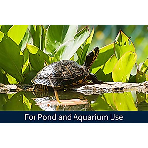 Snout & Shell Liquid Aquarium Cleaner for Turtles - Concentrated Bottle Treats 960 Gallons - Reduce Tank Maintenance & Improve Water Safety, 16 Oz