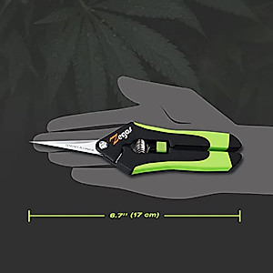 Zegos Bud Trimming Scissor 1 Pack with Curved Blades and Titanium Non-sticky Coating, Precision Pruning Shears, Hand Pruning Snips, Garden Scissors for Herb and Bud Trimming, Bonsai Cutting