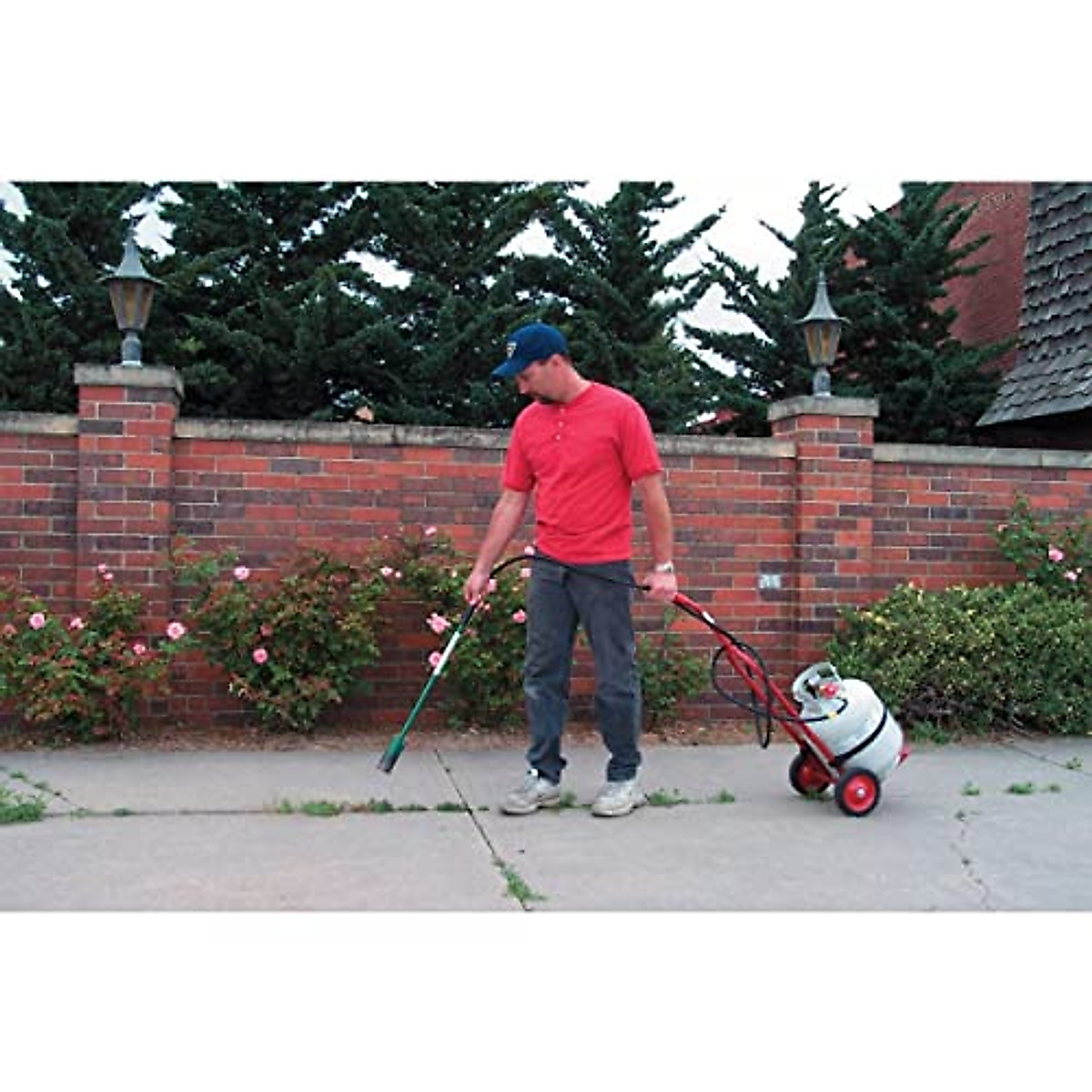 Red Dragon VT 2-23 C Weed Dragon 100,000-BTU Propane Vapor Torch Kit, Steel