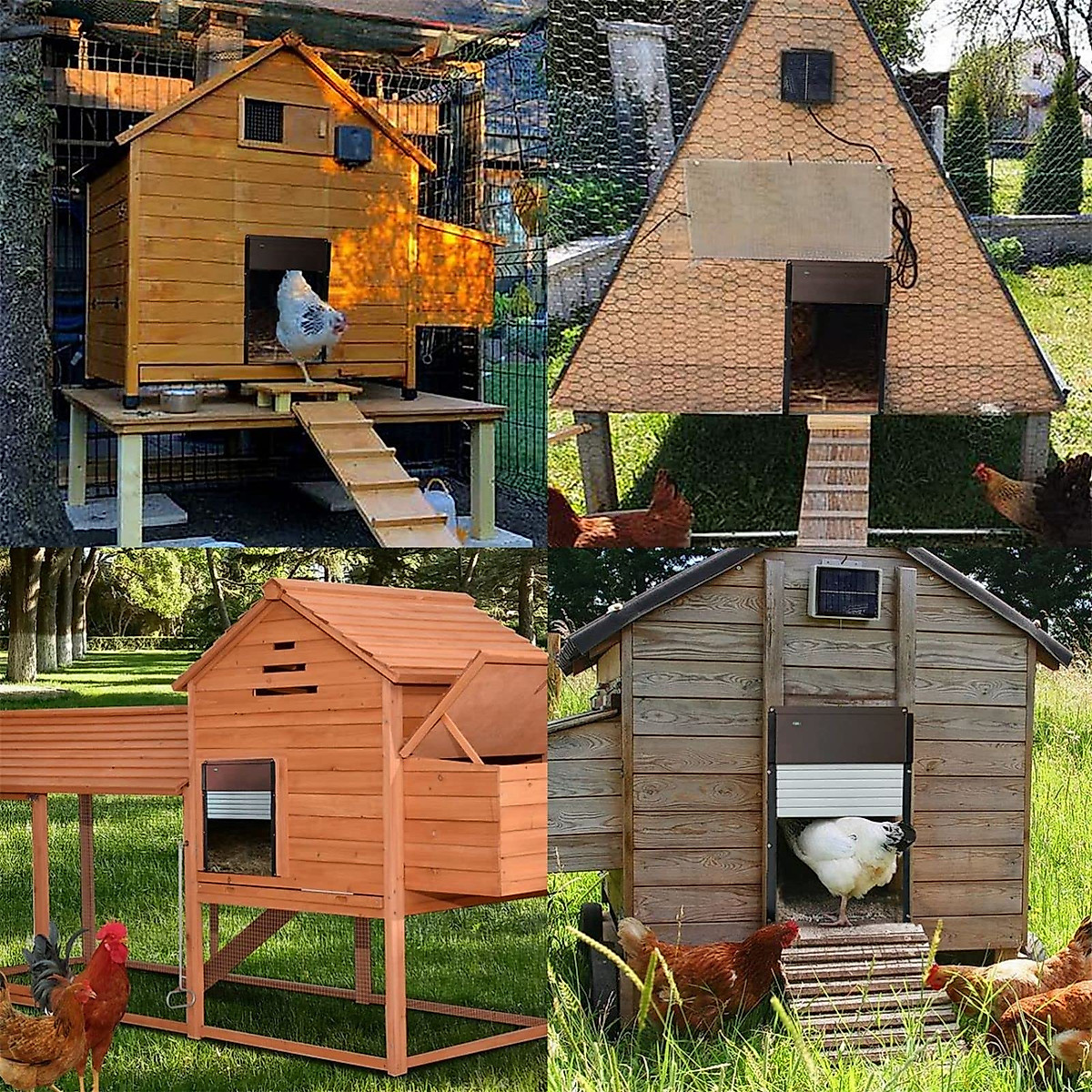 Solar-Powered Automatic Chicken Coop Door Opener with Timer & Light Sensor - Aluminum Automatic Chicken Door with Remote Control 4 Modes