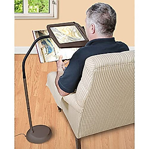 daylight24 402039-BRNZ Full Page 8 x 10 Inch LED Illuminated Floor, Bronze Magnifier Lamp