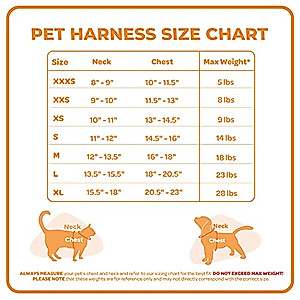 Voyager Step-in Air Dog Harness - All Weather Mesh Step in Vest Harness for Small and Medium Dogs by Best Pet Supplies - Harness (Fuchsia), Small