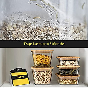TRAP IT! Pantry Moth Traps, 10 Pack Sticky Glue Trap Indoor with Pheromones to Attract and Kill Grain Flour Seed Meal Moths, Non-Toxic Pantry Pest Killer for House Food and Cupboard Moth Control