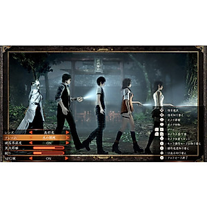 wireless controller 12