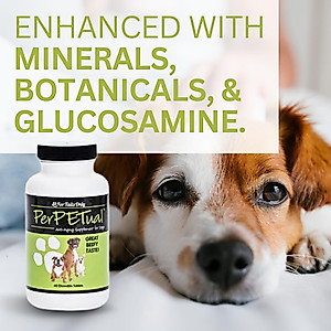 Youngevity Perpetual™ - Maximum Strength Anti-Aging Dog Bone & Joint Support - with Glucosamine, Choline, MSM, Milk Thistle, Calcium, Turmeric & More - 60 Chewable Tablets