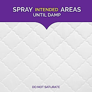 Hot Shot Ready-to-Use Bed Bug Killer Spray, Kills Bed Bugs and Bed Bug Eggs, Kills Fleas and Dust Mites, 32 Ounce (Pack of 2)