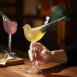 USEEKRIL Cocktail Glass Set of 2 Bird Glasses Drinking Bird Shaped Wine Glass 5oz Unique Bird Shape Martini Goblet Glassware Champagne Coupe Glass for KTV Home Bar Club