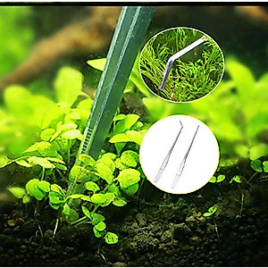ESKONI 2-Piece Aquarium Tweezers Stainless Steel Straight and Curved Tweezers Set for Fish Tank Aquatic Plants, 27cm/10.6 inches Feeding Tongs for Hold Worms, Reptiles, Lizards, Bearded Dragon