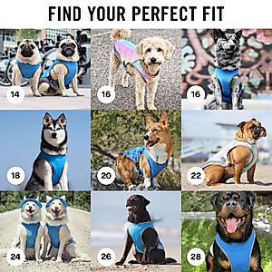 Canada Pooch Dog Cooling Vest - Evaporative Cooling Vest for Dogs with Breathable Mesh Material & Reflective Lining, Adjustable Dog Cooling Vest (26 (25-27" Back Length), Rainbow)