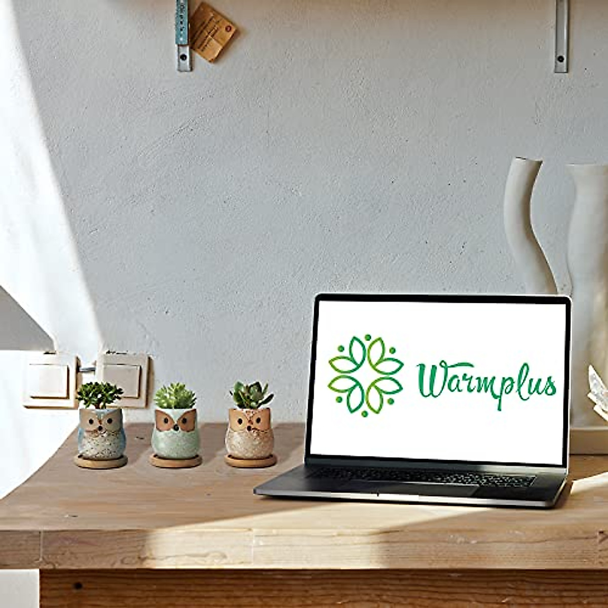 Warmplus 2.5 inch Owl Succulent Plant Pots - Mini Ceramic Planter with Drainage Hole for Mini Succulent Plants, Plants Not Included, Cute Succulent Kit 6 Pack