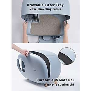 MS!MAKE SURE Cat Litter Box (with Litter Mat), Enclosed Design, Large Space Litter Box with Lid, Prevent Sand Leakage and Isolate Odors, Easy to Clean, with Cat Litter Scoop - Gray Blue