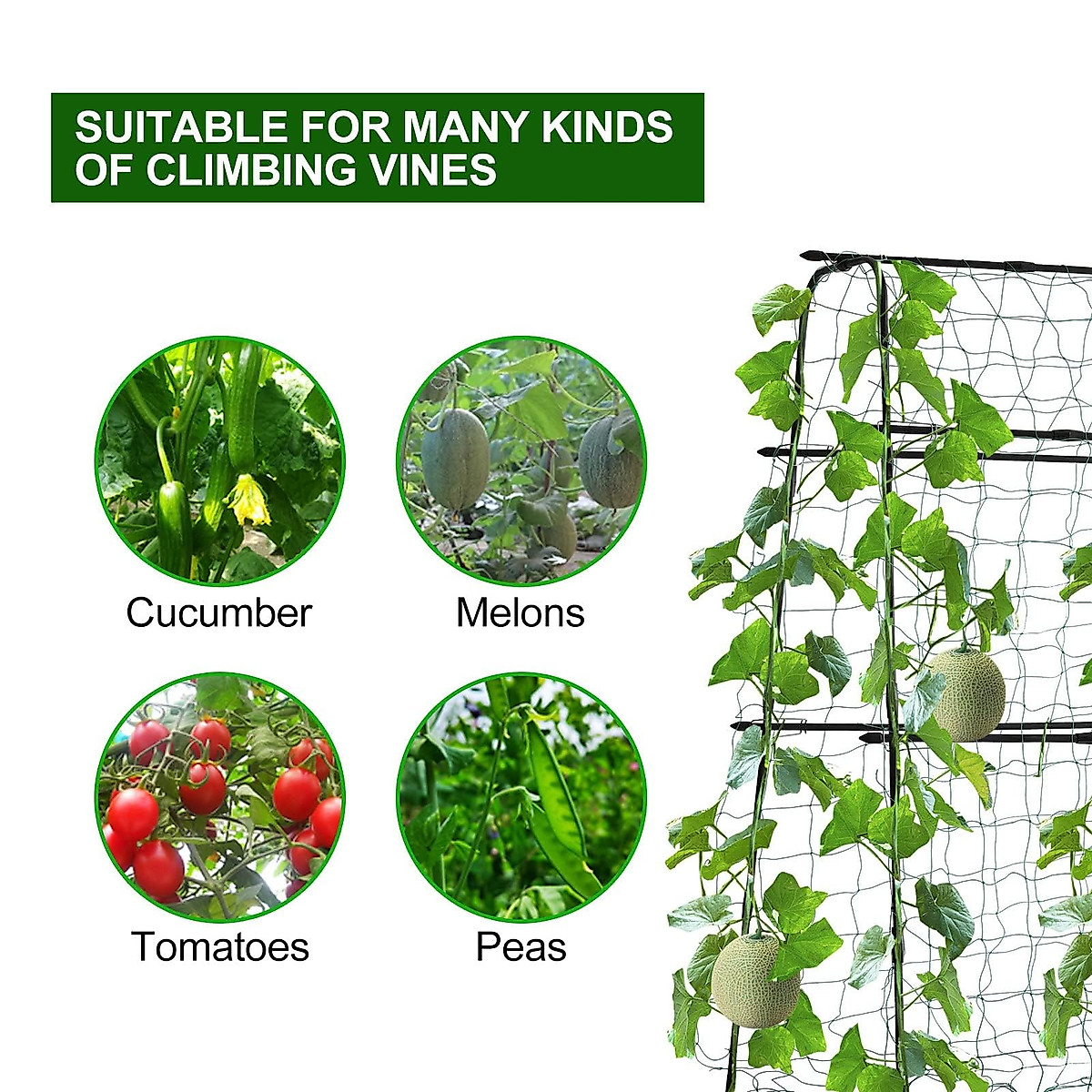 FOLLOOK Cucumber Trellis for Garden, 5ft Tall Metal Pea Tunnel Garden Arch Trellis for Climbing Plants Outdoor, A-Frame Trellis Support Vegetables Squash Cucumber Trellis for Raised Bed, Lightweight