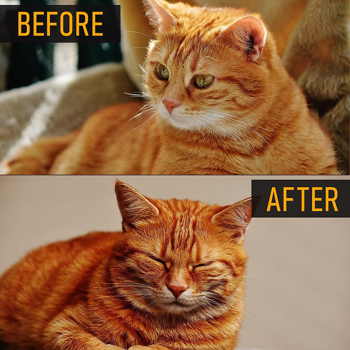 Cat Melatonin Drops 60ml Salmon Flavor, Melatonin for Cats to Sleep, Cat Calming Treats, Cat Calming Products, Cat Sleep Aid, Cat Anxiety Relief, Cat Travel Anxiety Relief for Cats