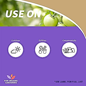 CAPT JACKS DUST 4 LB