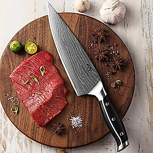 Damascus Kitchen Knife, 8 Inch Chef Knife Professional Kitchen Knife Forged with VG10 Super Steel 67-Layer Damascus, Non-slip ABS Ergonomic Triple Rivet Handle, Razor Sharp Lightweight Multipurpose