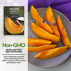 Survival Garden Seeds - Hale's Best Melon Seed for Planting - Grow Juicy Cantaloupe for Eating - Packet with Instructions to Plant in Your Home Vegetable Garden - Non-GMO Heirloom Variety