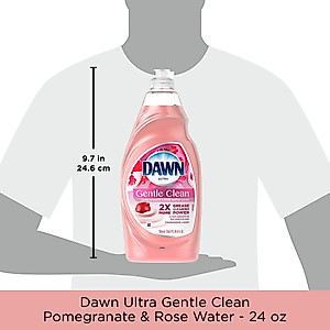 Dawn Gentle Clean Dishwashing Liquid Dish Soap Pomegranate Splash 24 oz (Pack of 2)