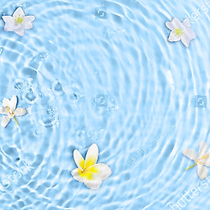 Suave Essentials Anti Residue Conditioner Cleansing Conditioner Daily Clarifying Conditioner That Removes Excess Oil Build-Up & Residue 30 oz, Pack of 6