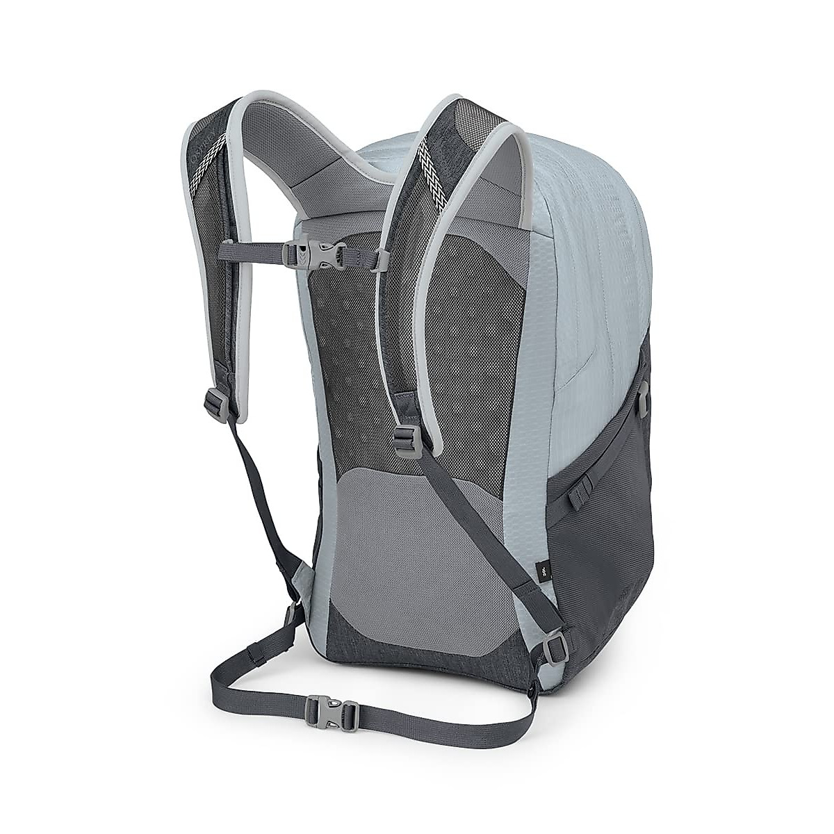 Osprey Comet 30 Laptop Backpack, Silver Lining/Tunnel Vision