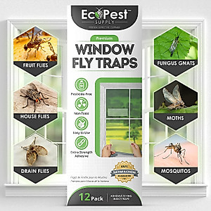 Window Fly Traps – 12 Pack | Transparent Sticky Fly Trap for Windows | Discrete, Extra Large Insect Glue Trap and Indoor Bug Catcher for House Flies and Other Flying Insects