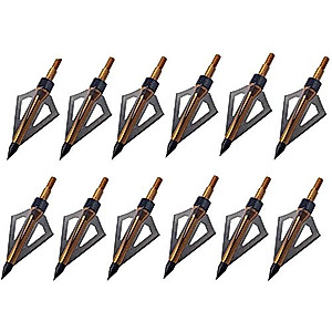 PG1ARCHERY 12 Pack 3 Fixed Blade Archery Hunting Broadheads 100 Grain with Case Arrow Head Screw-in Tips for Compound Bow & Crossbow (Golden)