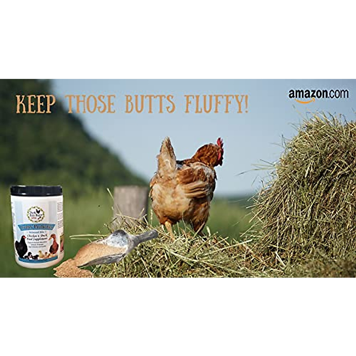 FRESH EGGS DAILY Poultry Probiotics Feed Supplement Vitamins for Backyard Chickens and Ducks 1LB