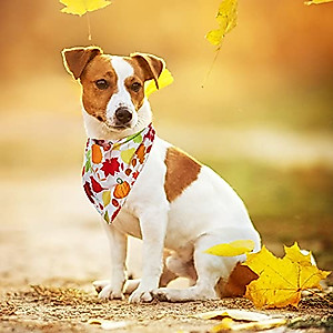 8 Pieces Thanksgiving Dog Bandanas Fall Pumpkin Pet Scarf Triangle Scarf Pet Adjustable Washable Dog Bib for Thanksgiving Pet Costume Supply (Vivid Pattern)