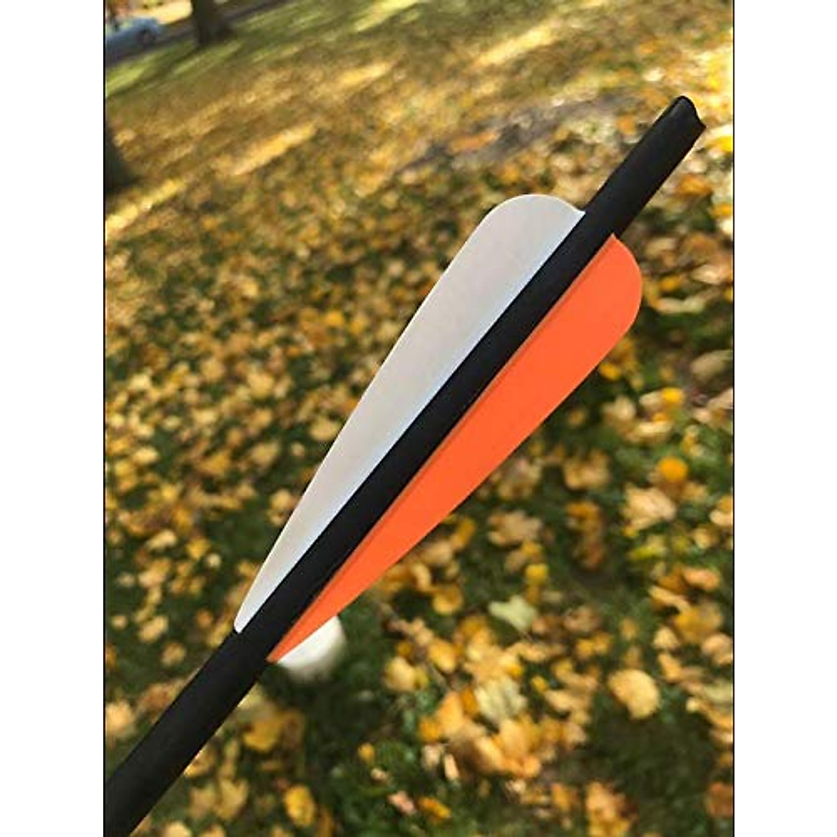 REEGOX Crossbow Bolts 20 inch Bio Crossbow Arrows with 4-Inch Vanes(Pack of 12)