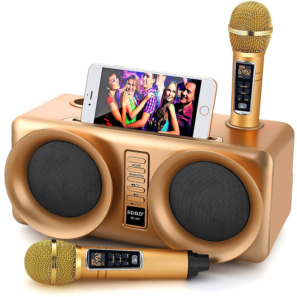 ALPOWL Karaoke Machine for Kids Adults with 2 UHF Wireless Microphone, Portable Bluetooth Speaker PA System with LED Lights for Home Party, Wedding, Church, Picnic, Outdoor/Indoor (Gold I)