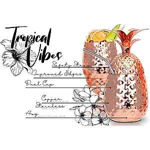 Vastigo 14 oz Pineapple Copper Plated Stainless Steel Cocktail Bar Standing Tumbler Mug Cup | Bar ware Kitchen | Drinking Party Cup