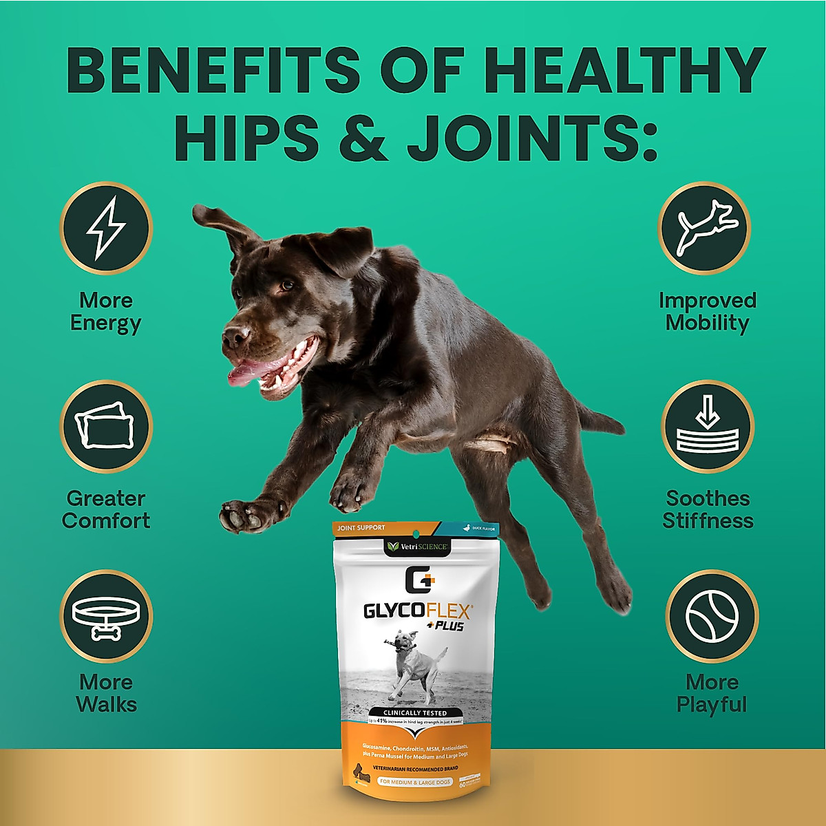 VetriScience GlycoFlex Plus Hip and Joint Supplement for Dogs – Extra-Strength Joint Support Chews with Green Lipped Mussel, Chondroitin, and Glucosamine for Dogs