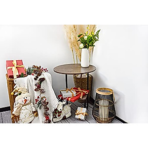 Nohle End Table for Living Room, Accent Table Round 2-Tier Tables with Storage,Small Nightstand,Black Metal Side Table H20in.