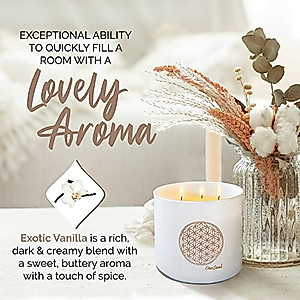 Large Exotic Spiced Vanilla Candle, Scented Candles for Home, Hand-Poured Aromatherapy 3 Wick Candle for Gift with Flower of Life Design, 50-Hour Burn Time, 14oz OneSoul Collection
