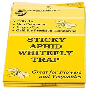 HGSLWFT 5 Count Sticky White Fly Trap (Pack of 5)