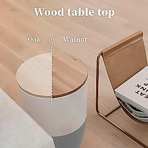 Dupray Bloom™ Air Purifier for Large Rooms with Planter or Custom Accent Table Design | For Home, Bedroom, Office, Dust, Pets | H13 HEPA Air Filtration (Accent Table - Walnut, Cloudy Gray)