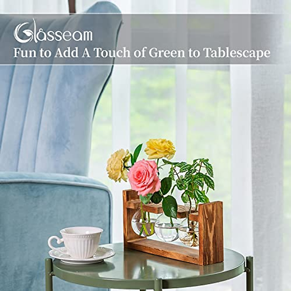 Glasseam Propagation Stations Plant Terrarium, Glass Bud Bulb Vase with Wooden Stand Propagate Station Propogation Jars Desktop Hydroponic Planter Air Plants Containers Tabletop for Indoor Flower