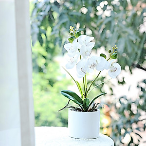 Jusdreen 1 Pcs Ceramic Vase Artificial Orchid Flower Bonsai Vivid Phalaenopsis Flowers Potting for Home Office Décor,Table Centerpiece Room Decorations 14.5 INCH (Ceramic Pot/White Orchid)