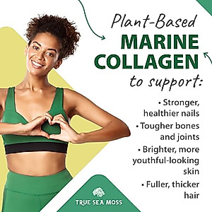 TrueSeaMoss Sea Moss Raw Wild Crafted Seamoss Raw - 100% Irish Sea Moss Raw (Pack of 1) - Dried Sea Moss Advanced Drink - Clean and Sundried - Vegan Sea Moss (1Pound) (16oz)