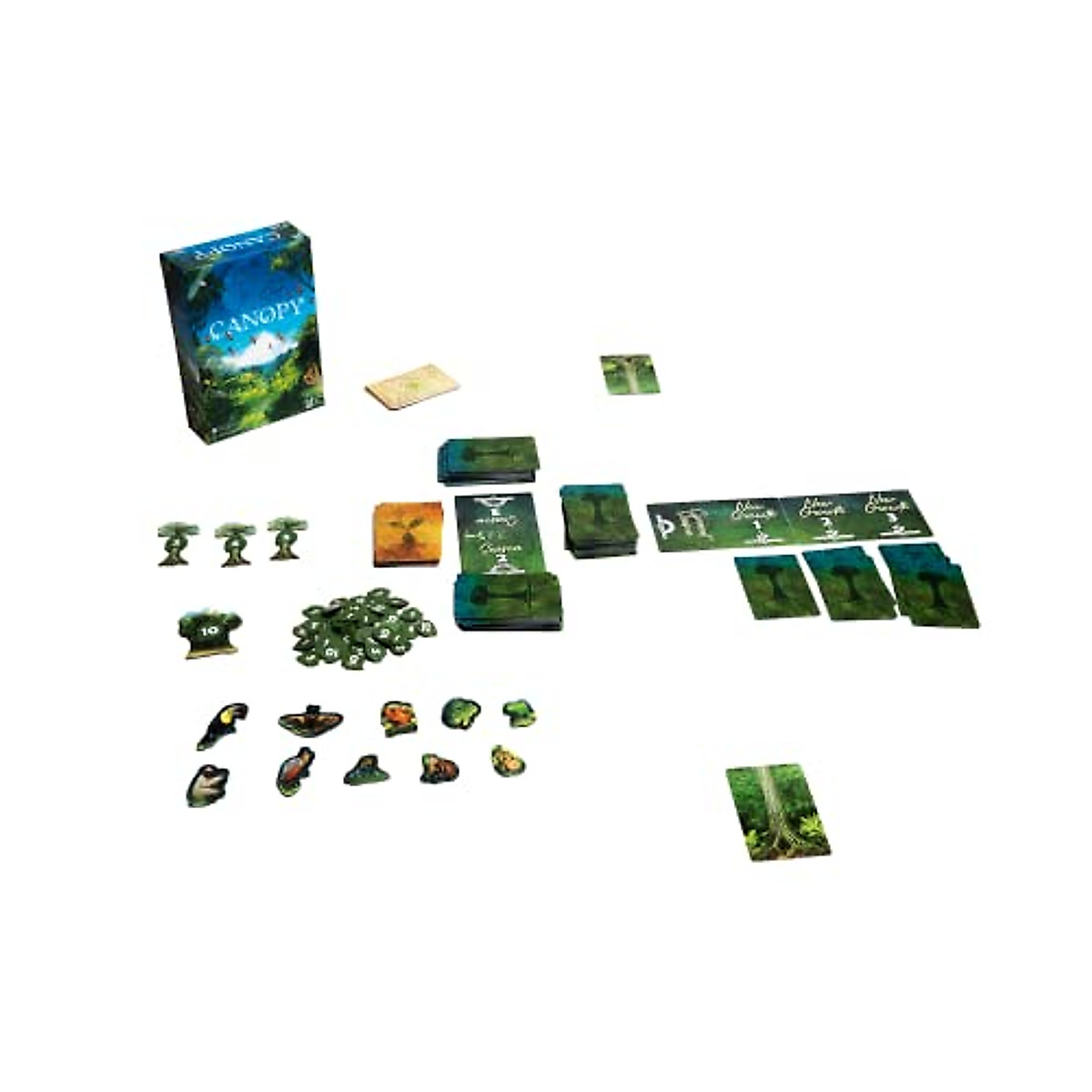 Weird City Games: Canopy, Card Game, Fast and Fun Gameplay, Features 25 Unique Species of Rainforest Animals and Plants, Solo or Multiplayer Option, For Ages 8 and up