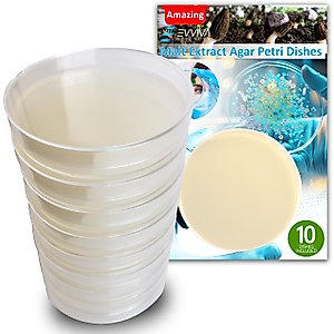 Malt Extract Agar Plates - Evviva Sciences - Great for Mushrooms, Molds, Fungus - 10 Prepoured MEA Petri Dishes - Also Great for Science Fair Projects!