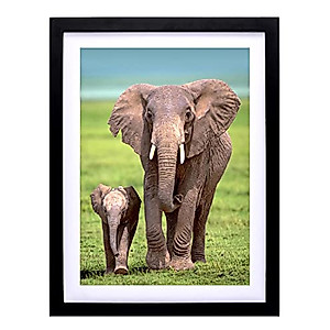 WOFFMX 18x22 Diamond Painting Picture Frames 16x20 Diamond Art Frames Wood ,Display Pictures16x20 Inch/ 40x50 cm with Mat or 18x22 Inch/45x55cm Without Mat, Diamond Embroidery Photo Frame 14x18 Diamond Art Frames Black (YK05p)